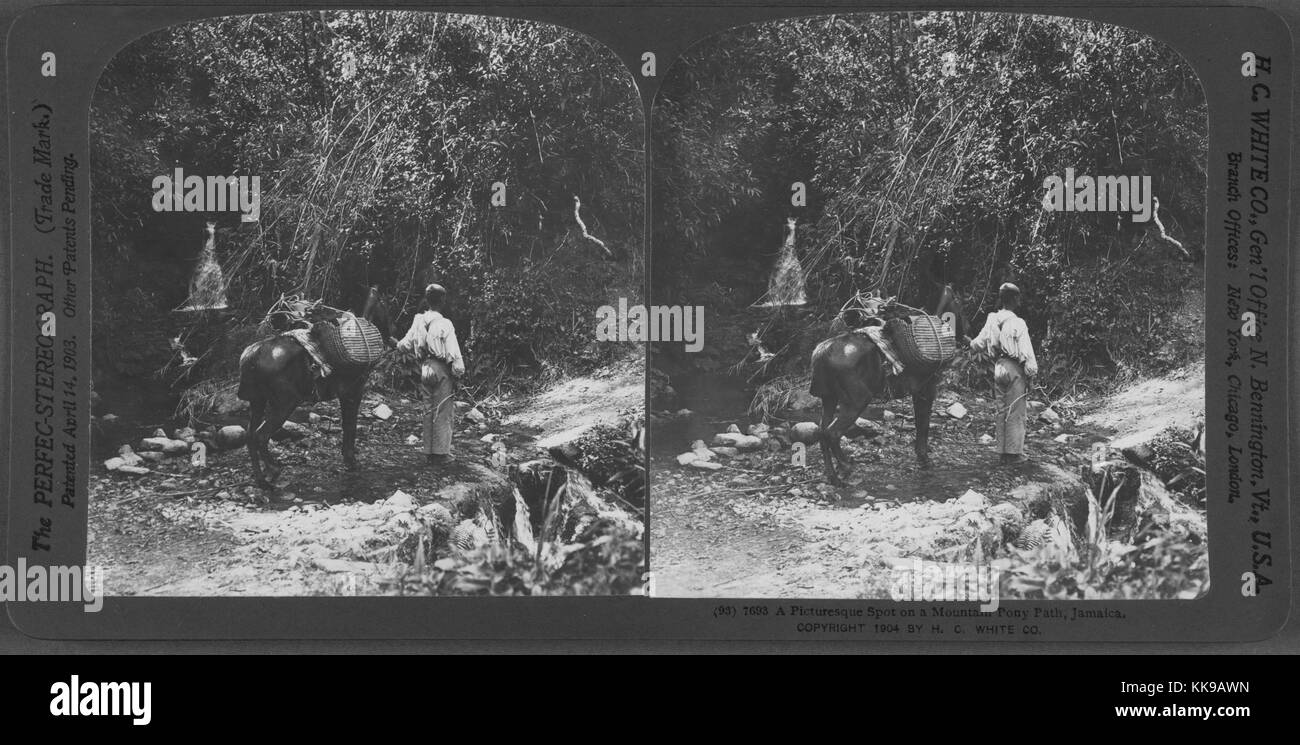 A picturesque spot on a mountain pony path, Jamaica, 1904. From the New ...