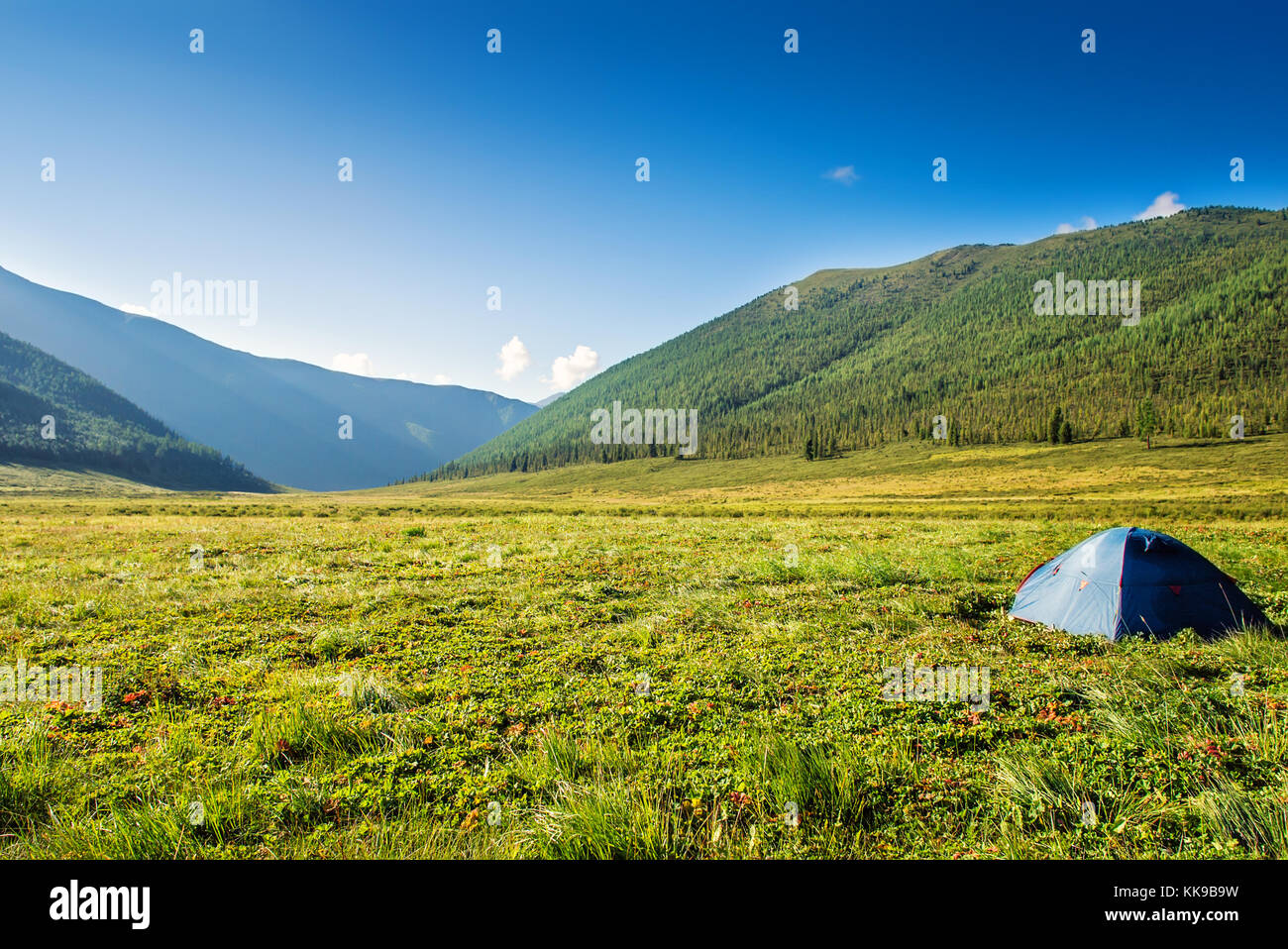 Meadow mountain campground hi-res stock photography and images - Alamy