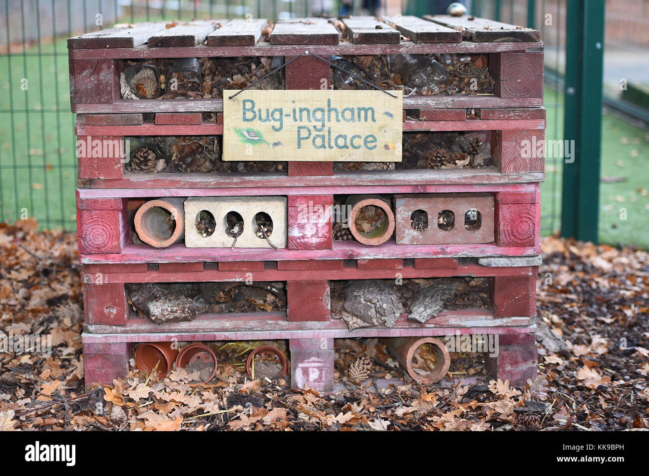 Bug ingham hi-res stock photography and images - Alamy