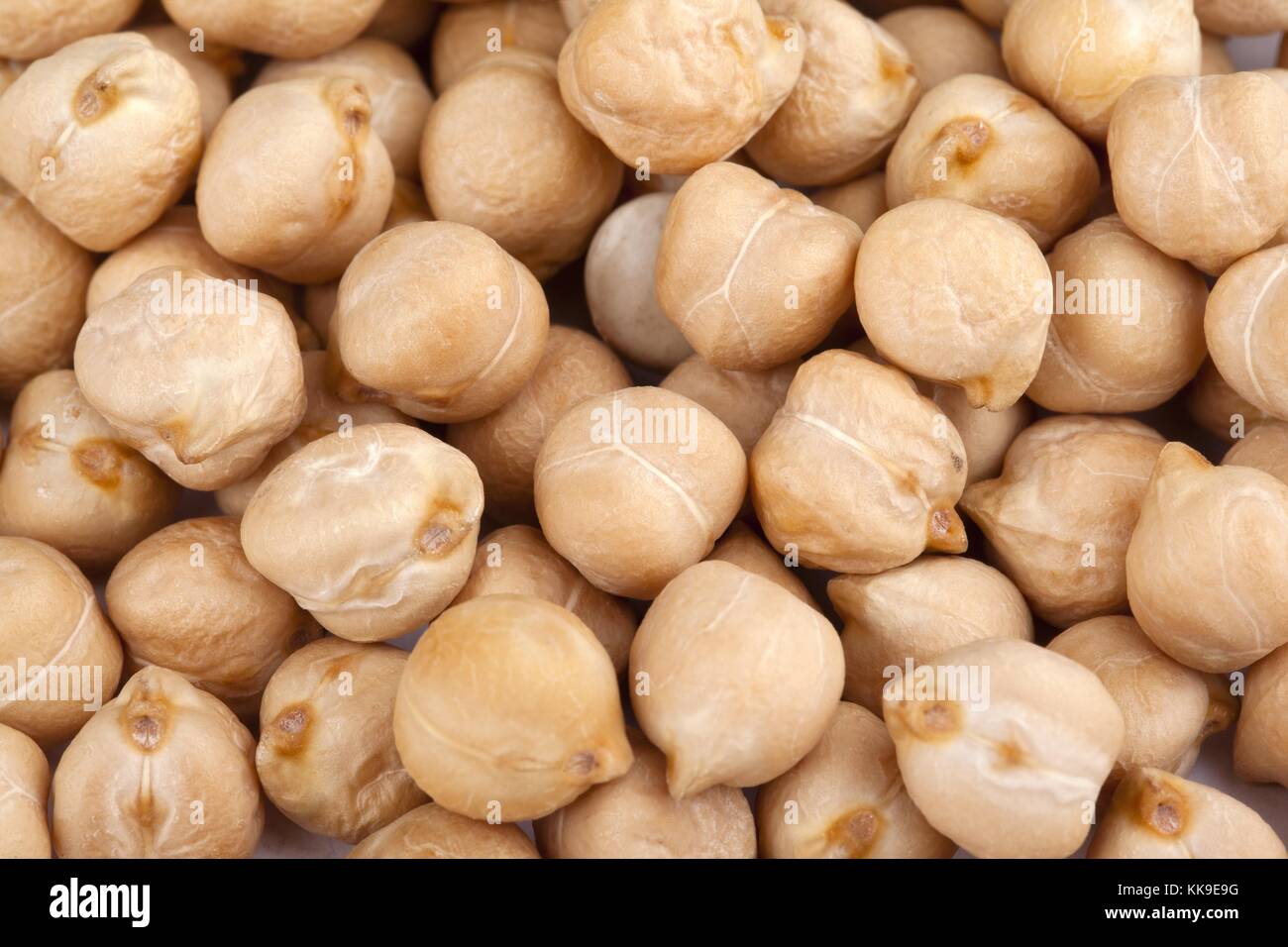 close up shot of chickpeas Stock Photo - Alamy