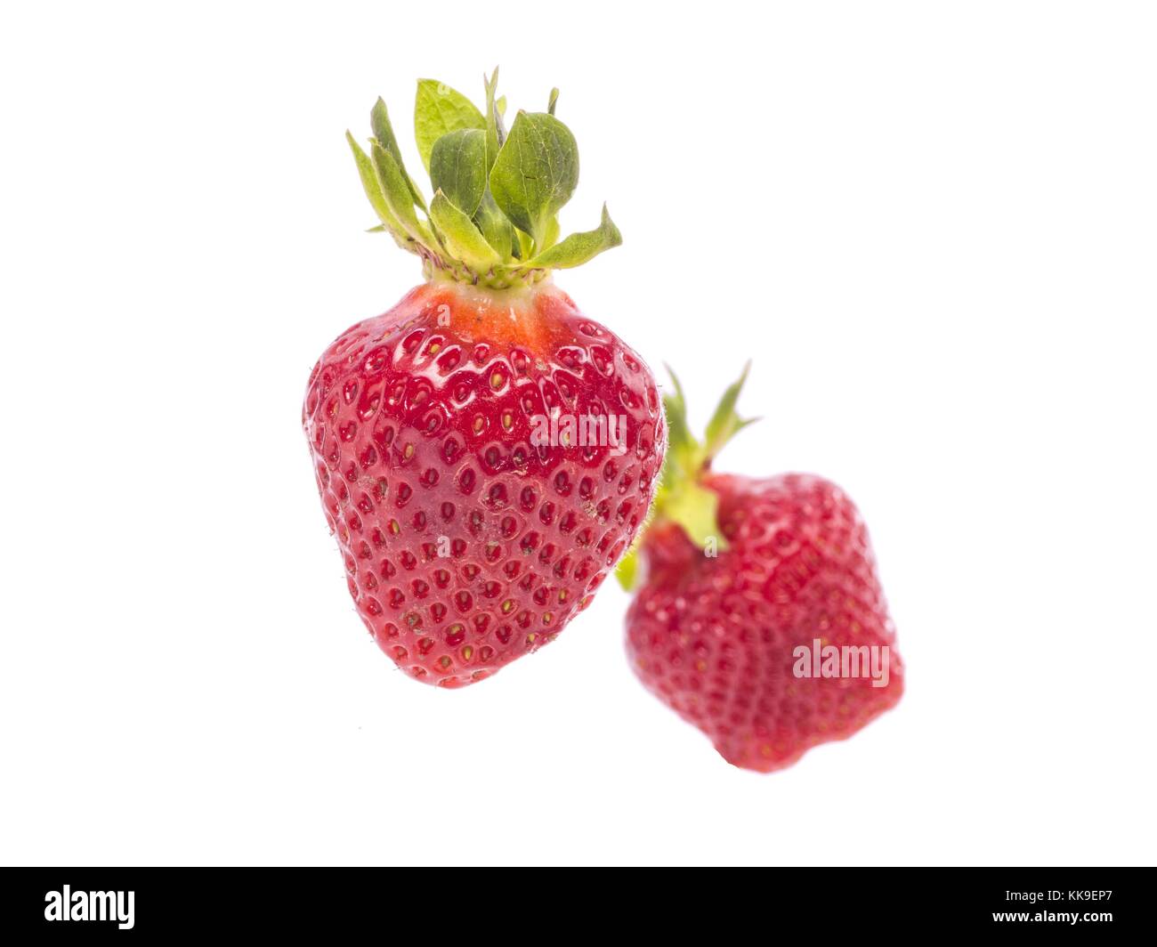 fresh whole individual strawberries Stock Photo - Alamy