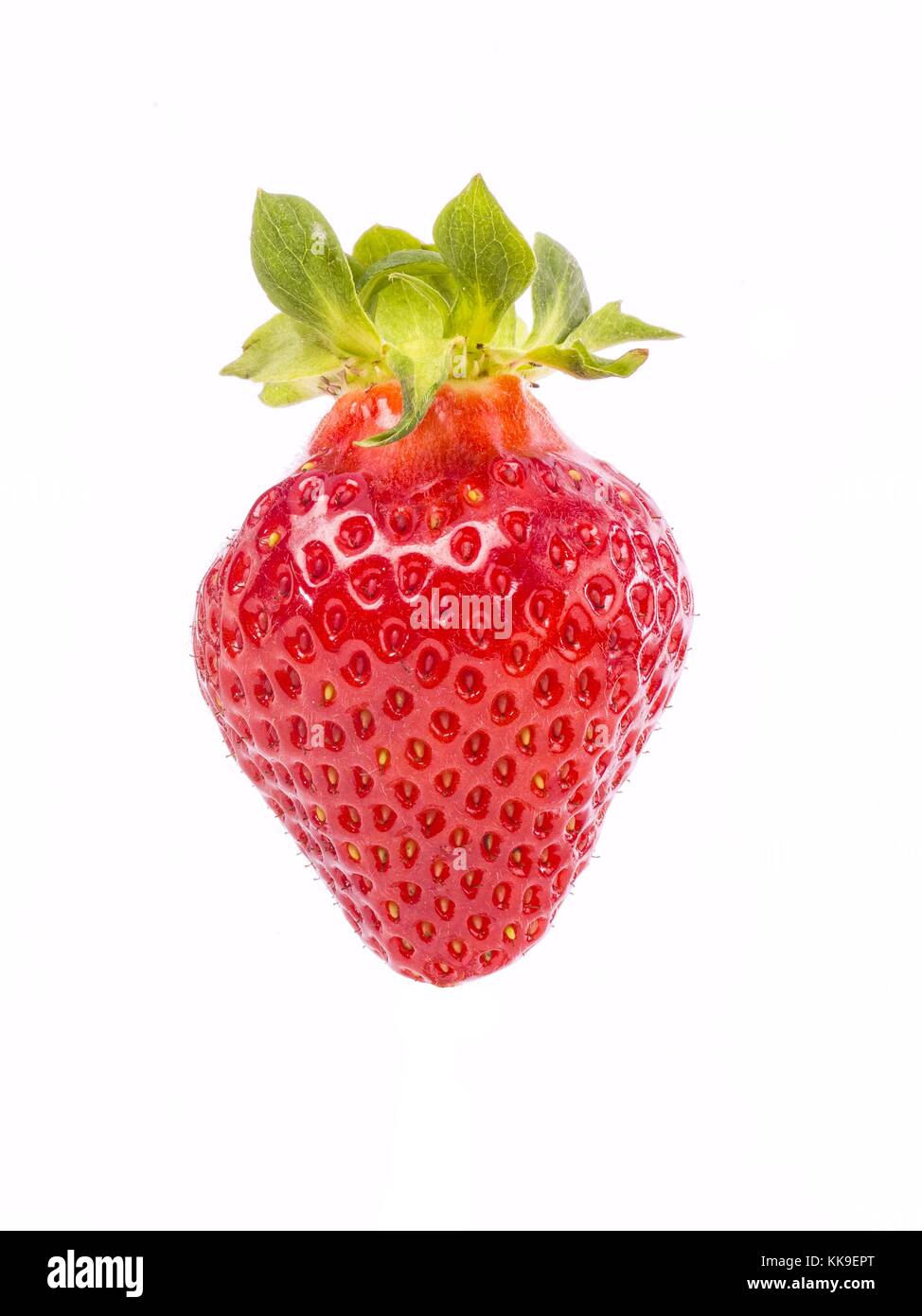 fresh whole individual strawberries Stock Photo - Alamy