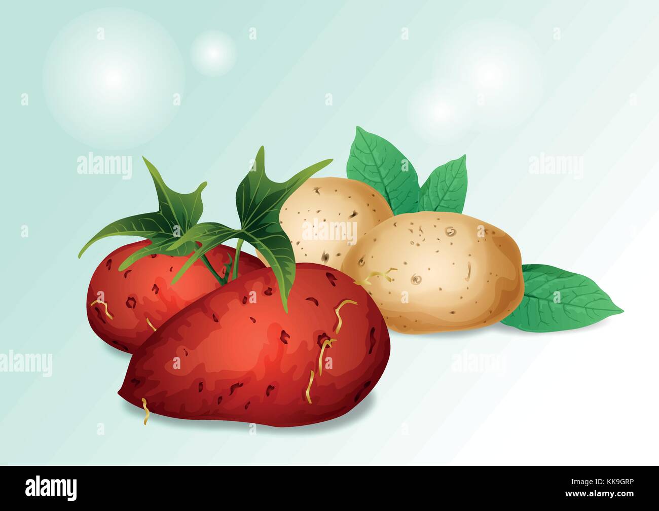Fruit objects - Apple, tomato, chestnut, etc 011 Stock Vector Image ...
