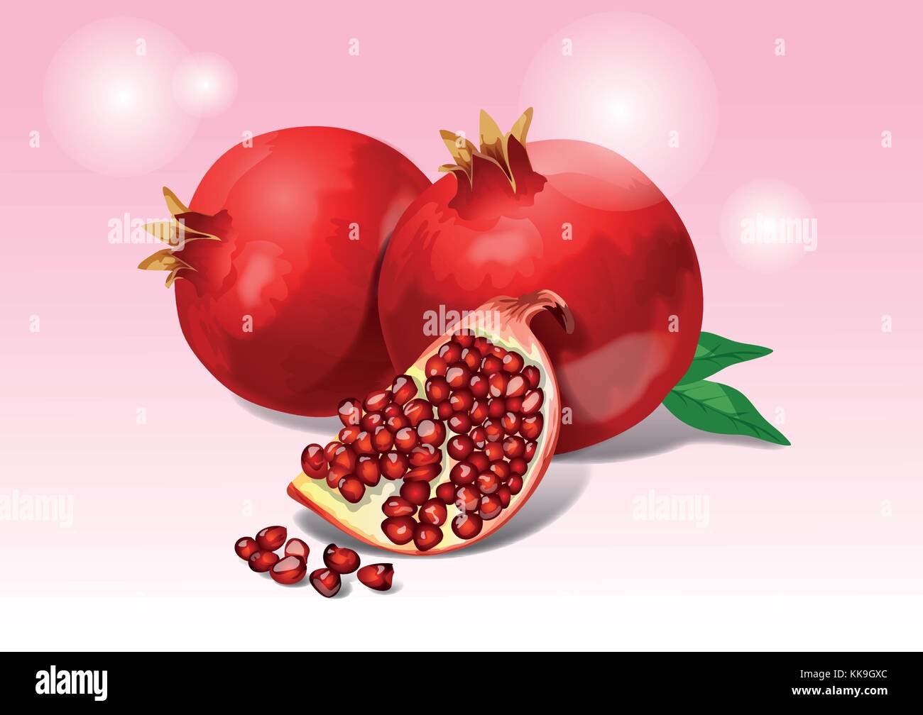 Fruit objects - Apple, tomato, chestnut, etc 009 Stock Vector Image ...