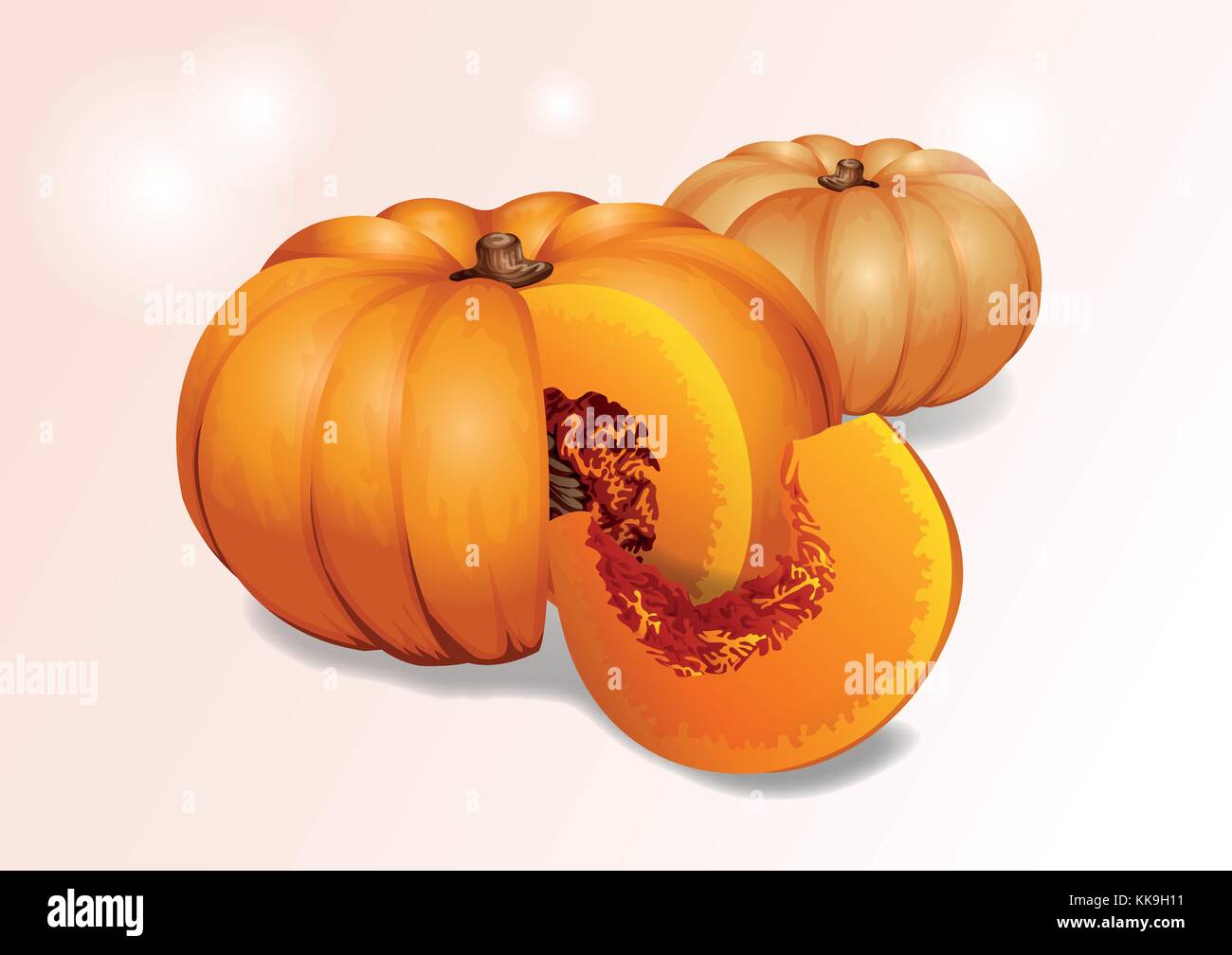 Fruit objects - Apple, tomato, chestnut, etc 006 Stock Vector Image ...