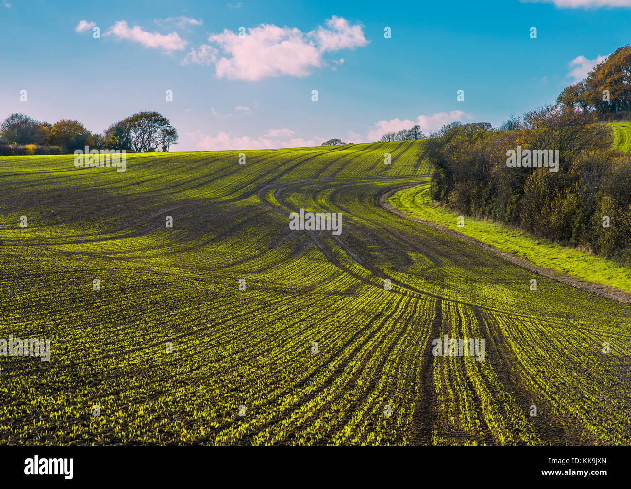 Crop patterns hi-res stock photography and images - Alamy