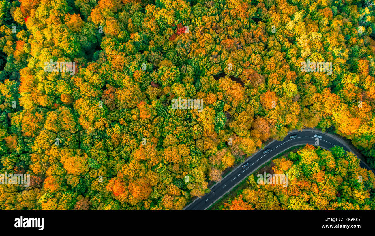 Aerial footage forest High Resolution Stock Photography and Images - Alamy