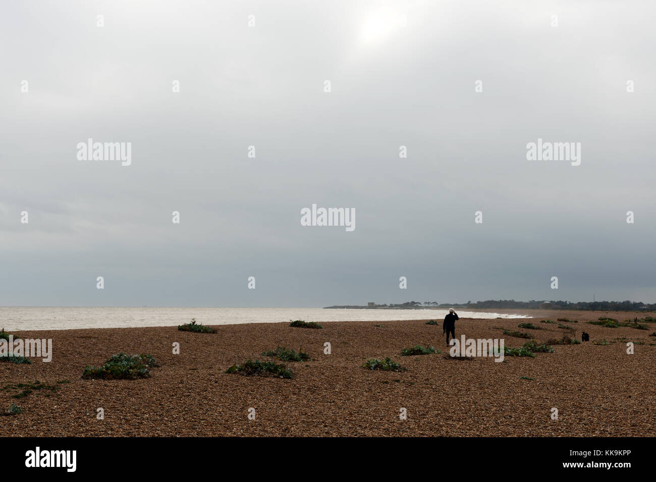Hollesley Bay, Shingle Street, Suffolk, UK Stock Photo - Alamy