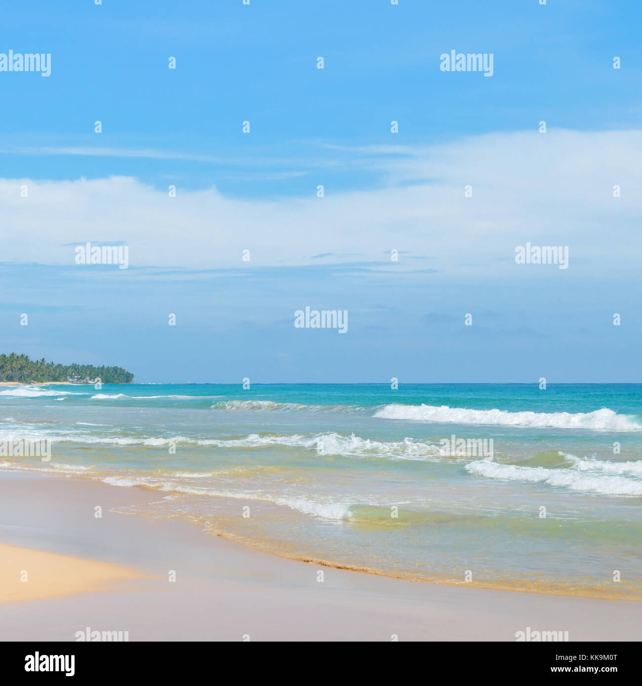 Indian ocean bay coconut palms hi-res stock photography and images - Alamy