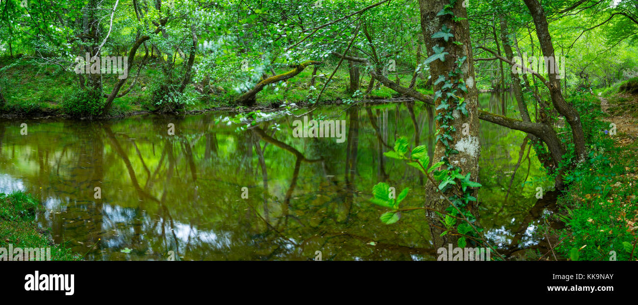 Bayas river, Gorbeia Natural Park, Alava, Basque Country, Spain, Europe ...