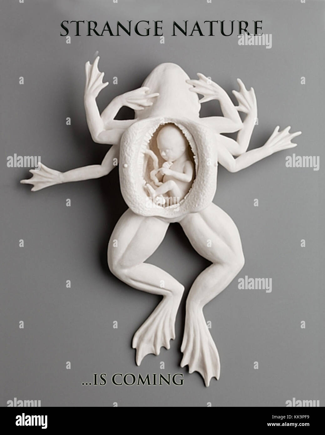 STRANGE NATURE, advance poster, 2017. © Ojala Productions /Courtesy ...
