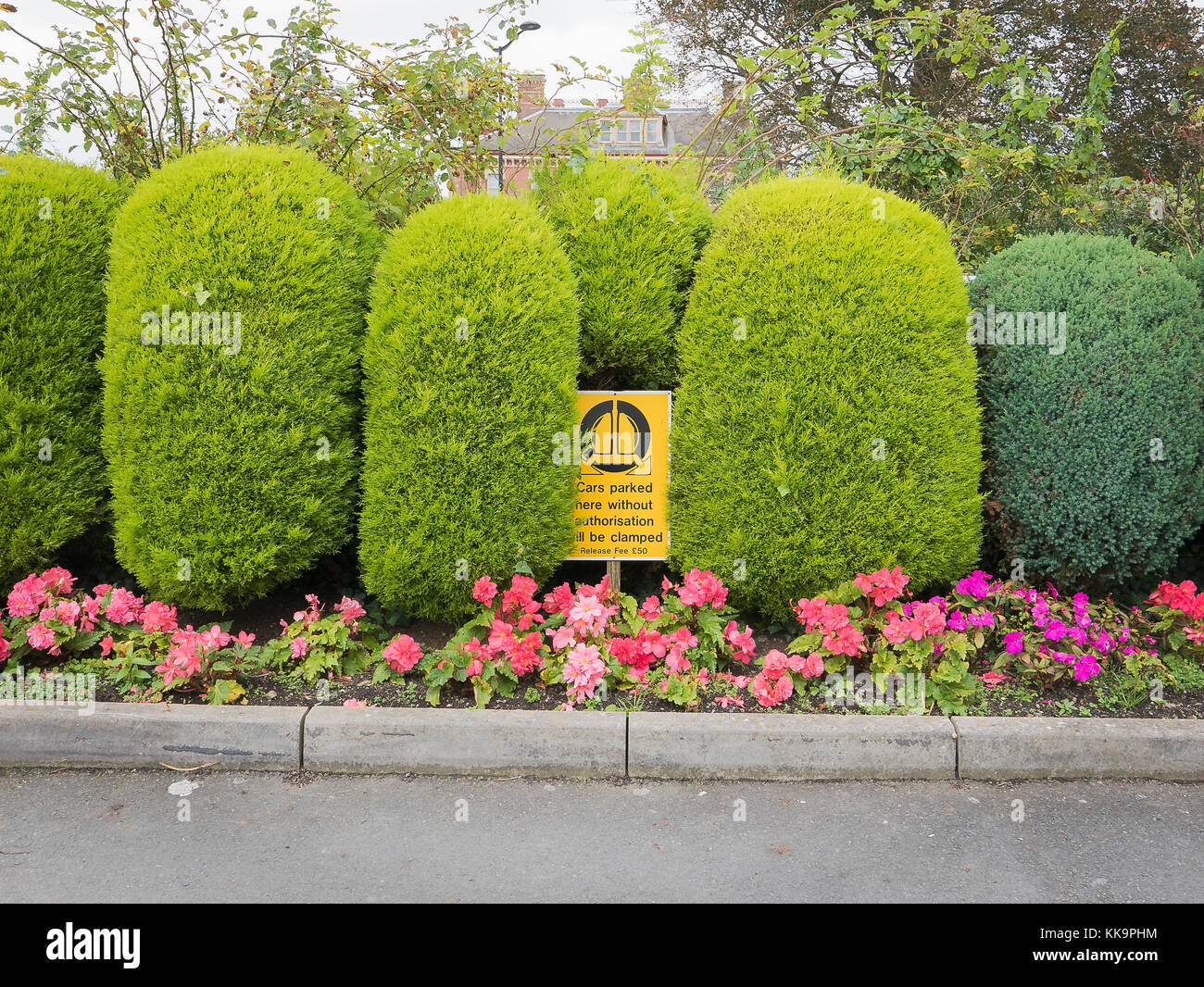 Decorative functional boundary hedge in a hotel garden in North Devon ...