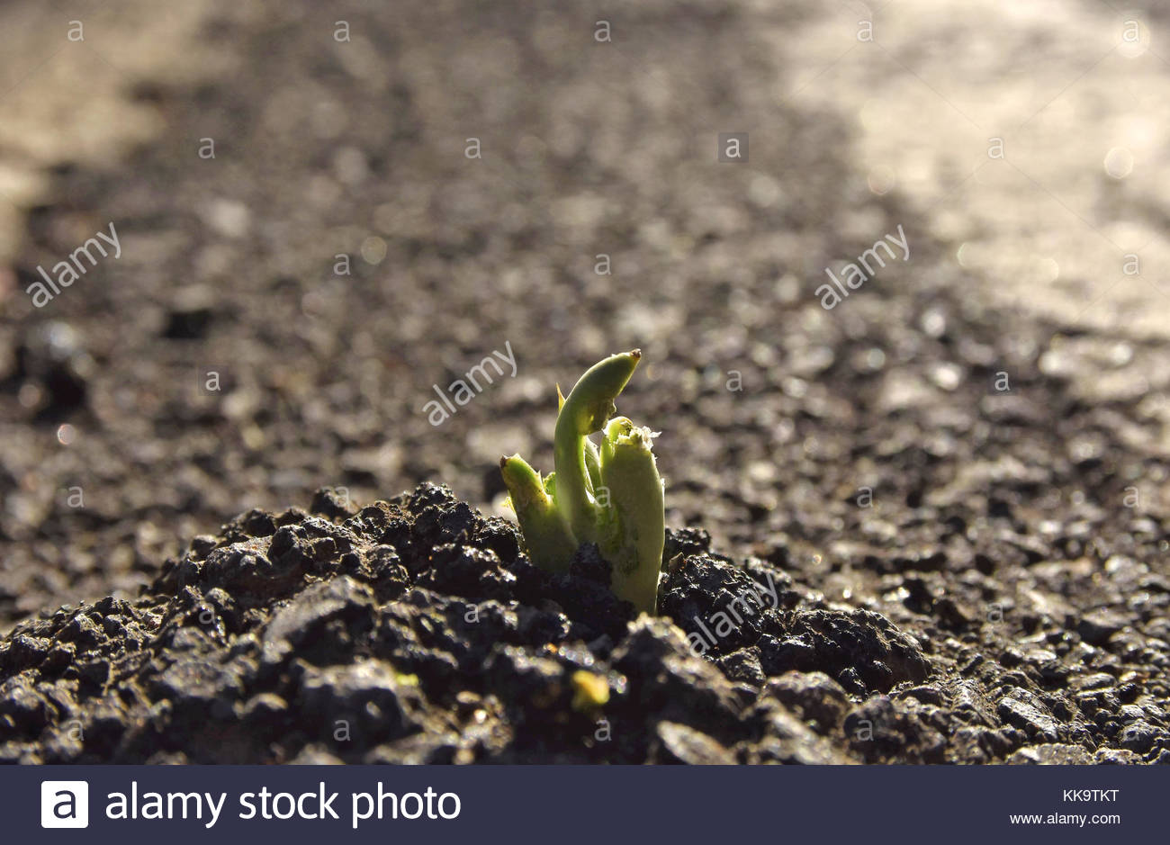 Asphalt Concrete High Resolution Stock Photography and Images - Alamy