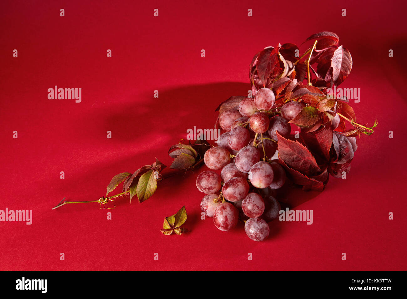 bunch of ripe red grapes Stock Photo - Alamy
