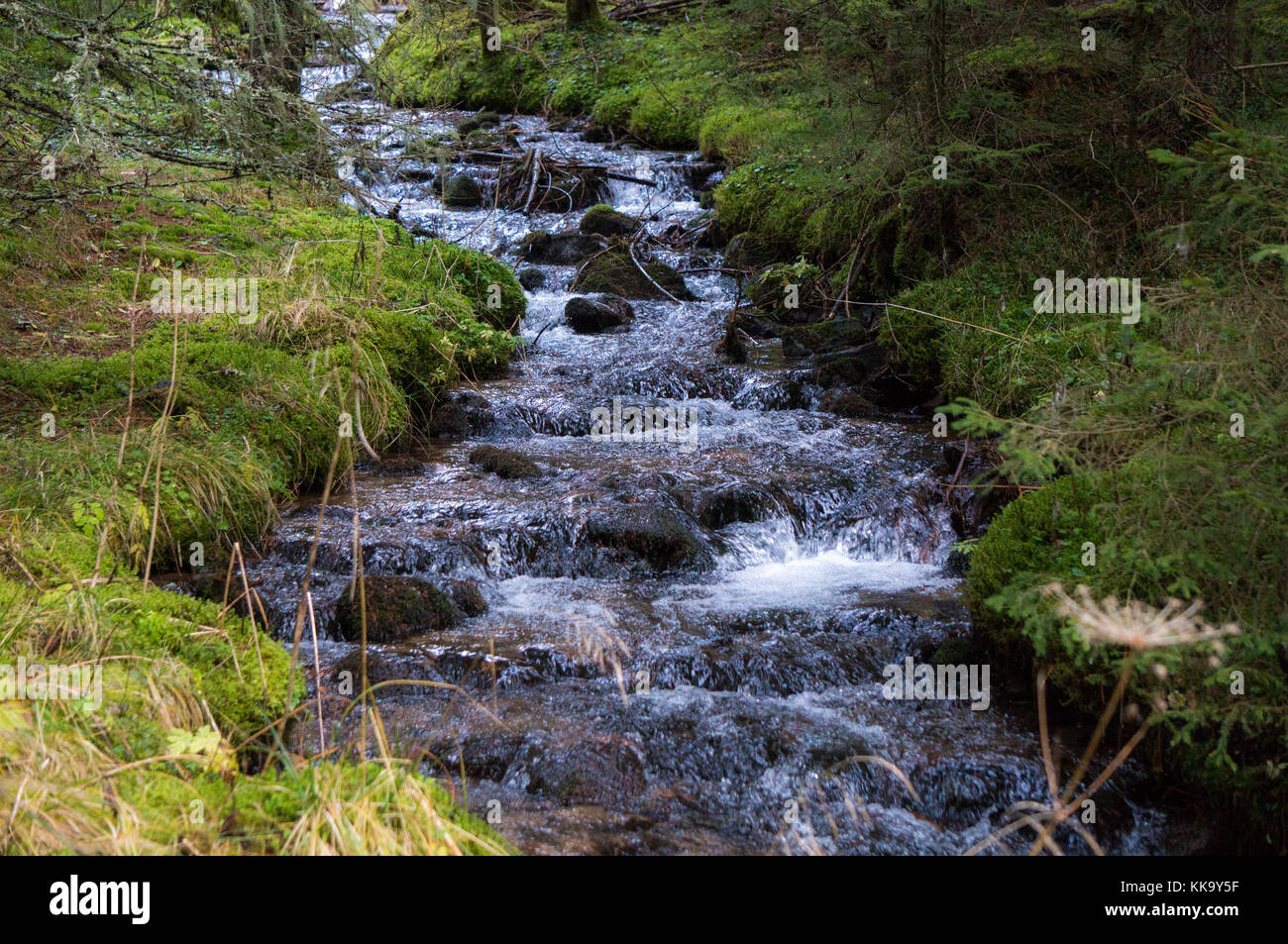 Beautiful mountain stream running down the side of a hill Stock Photo ...