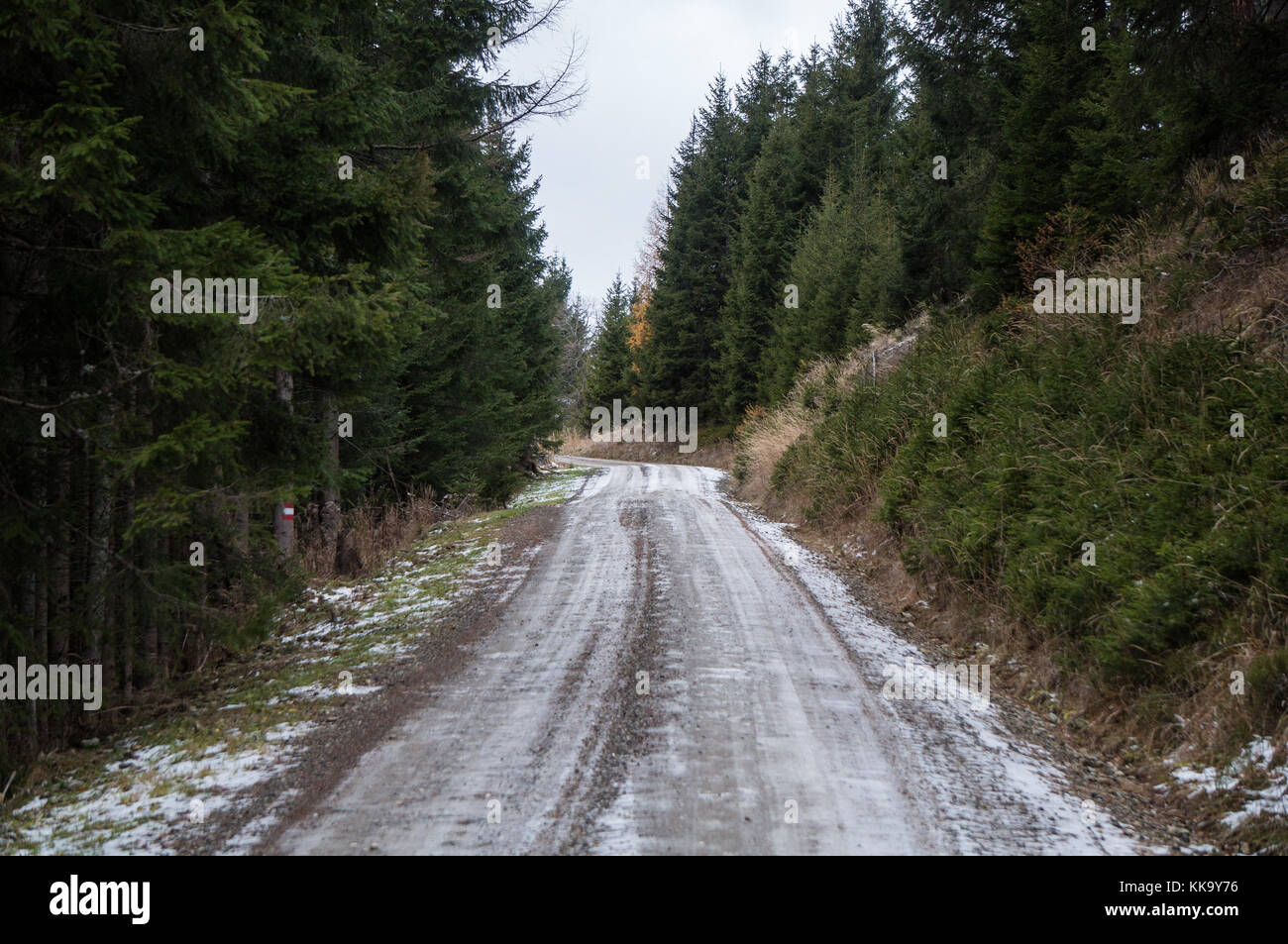 Cutting a path hi-res stock photography and images - Alamy