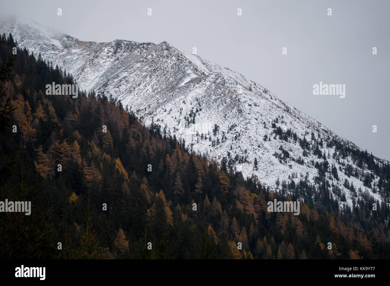 Cold alpine hi-res stock photography and images - Alamy
