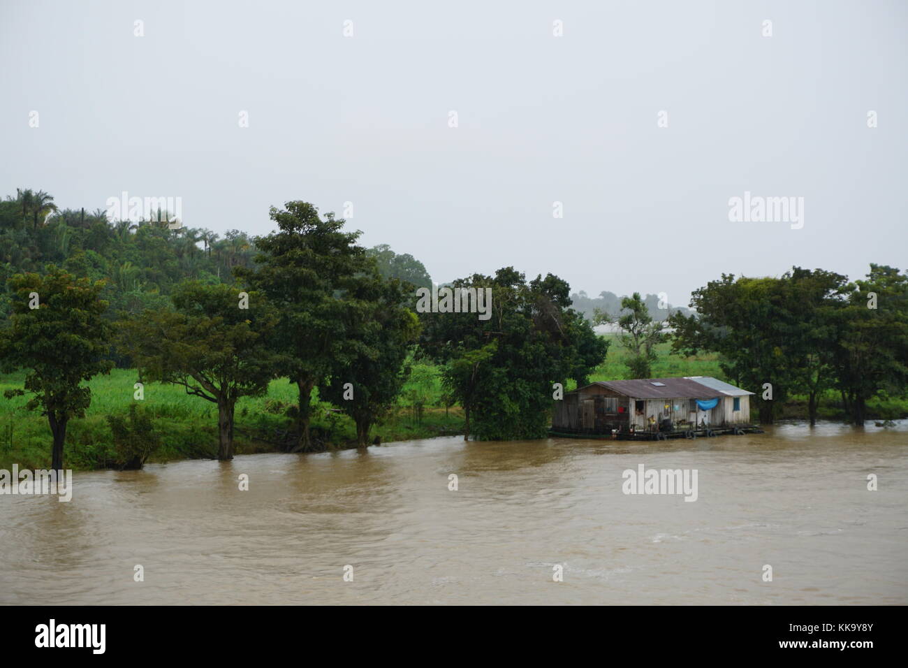 Traditional Amazon rainforest housing, floating house, Amazon river ...