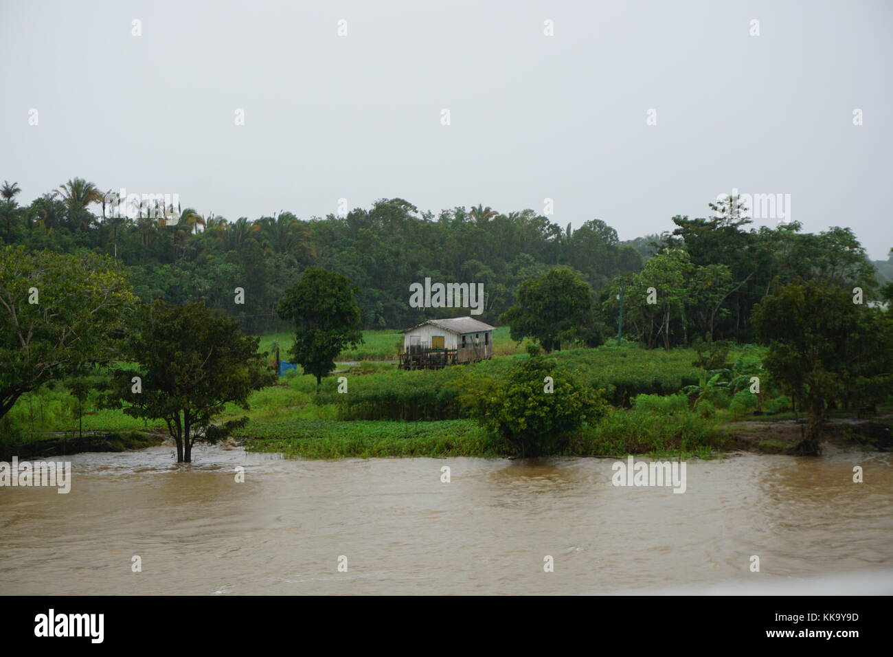 Traditional Amazon rainforest housing, floating house, Amazon river ...
