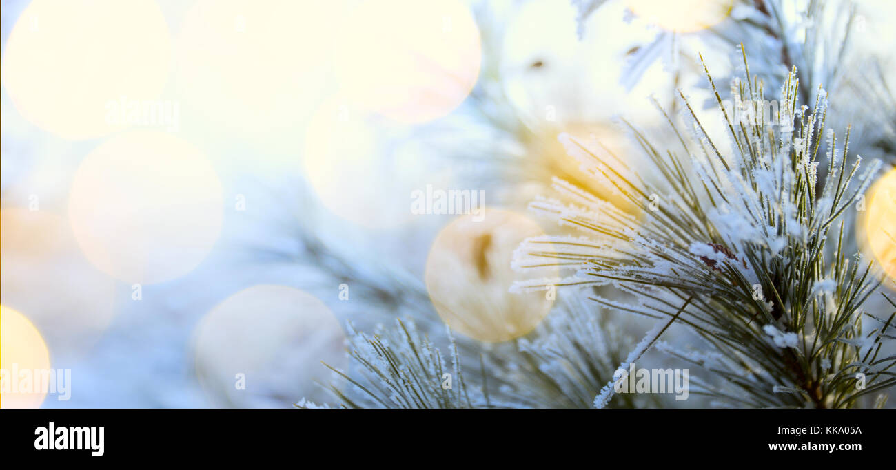 Winter holiday background hi-res stock photography and images - Alamy