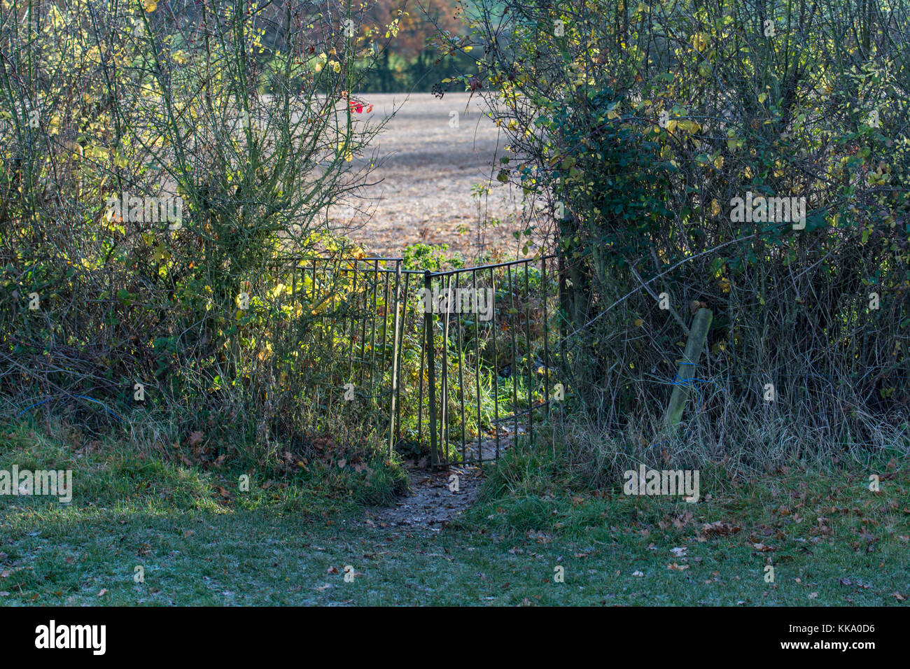 Traditional gate on Cotswold walk Stock Photo - Alamy