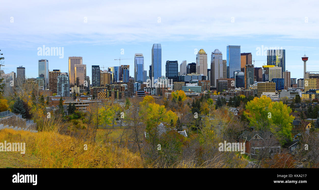The Calgary, Canada city center with colorful fall leaves Stock Photo ...
