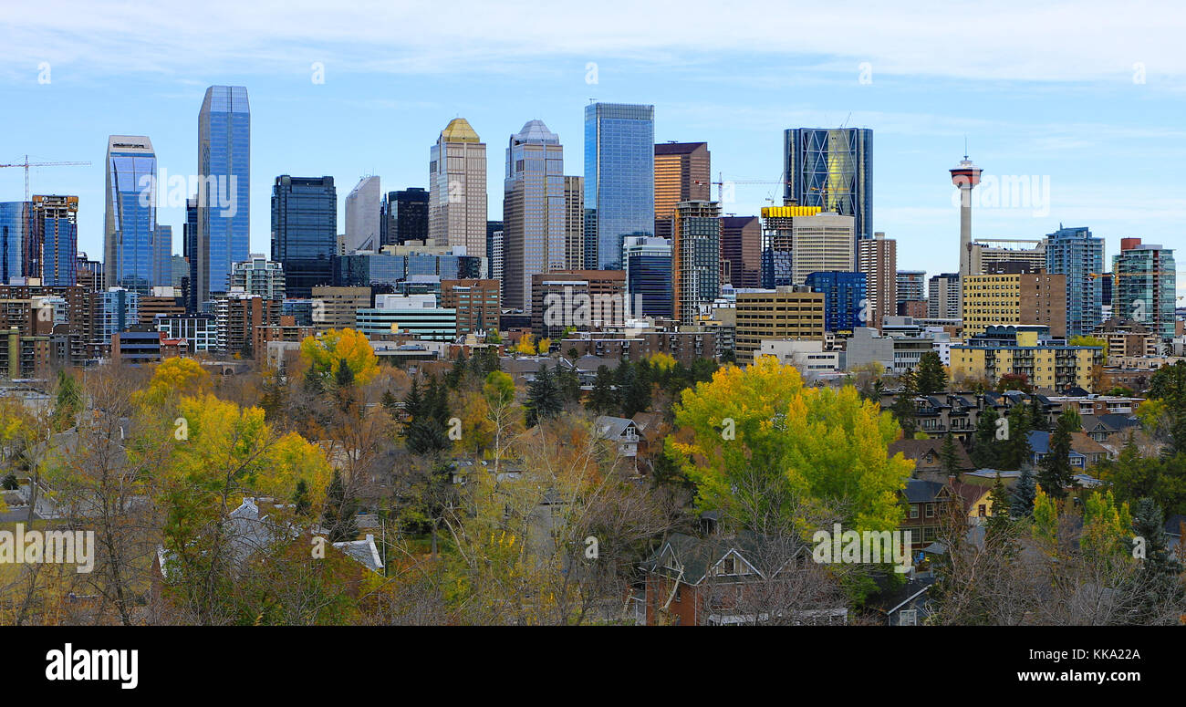 The Calgary, Canada city center with colorful autumn leaves Stock Photo ...