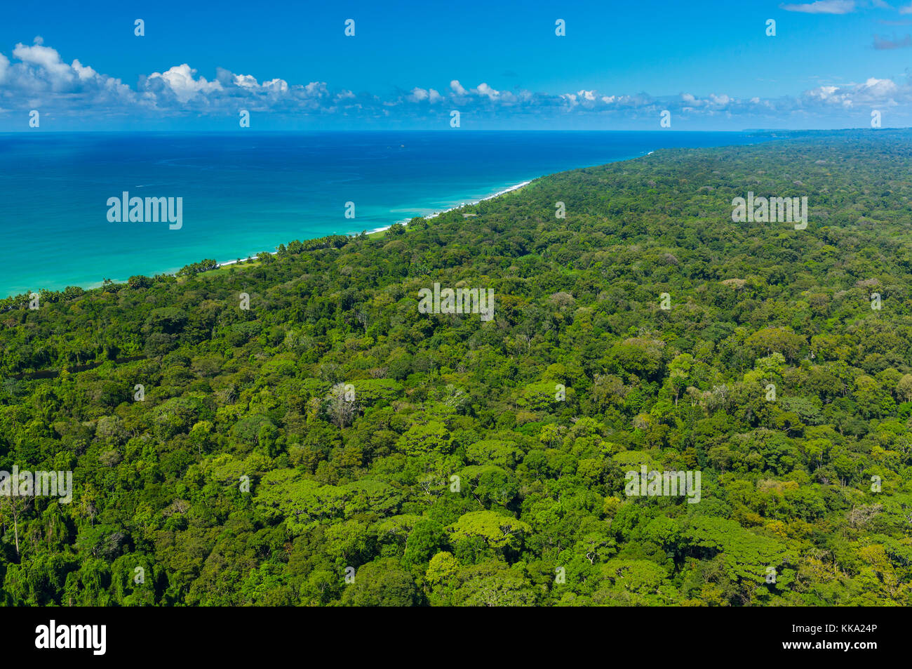 Estacion Sirena, Corcovado National Park, Osa Peninsula, Puntarenas ...