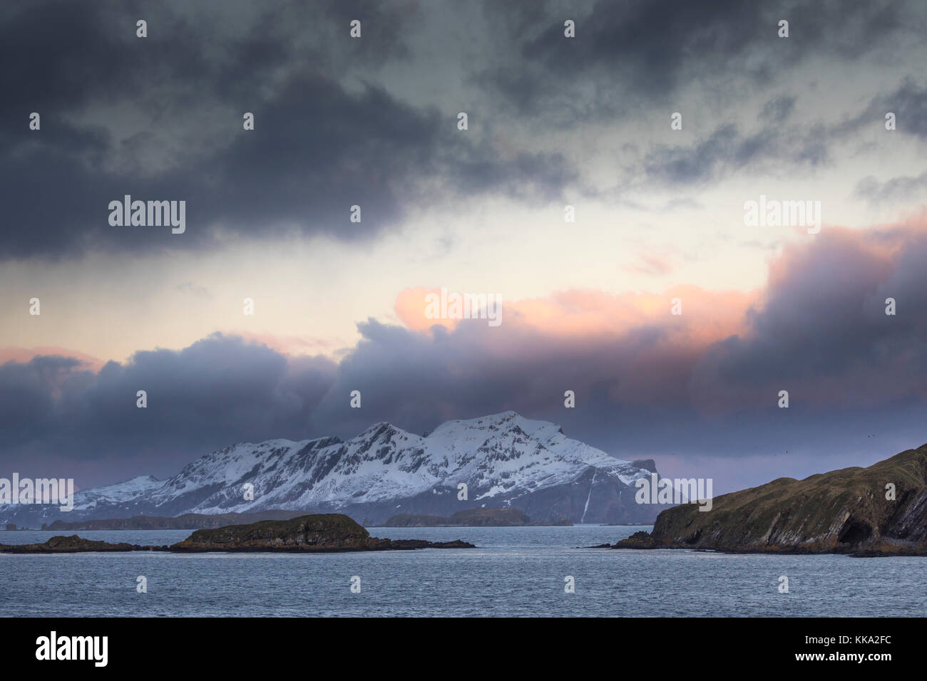 South georgia island sunrise hi-res stock photography and images - Alamy
