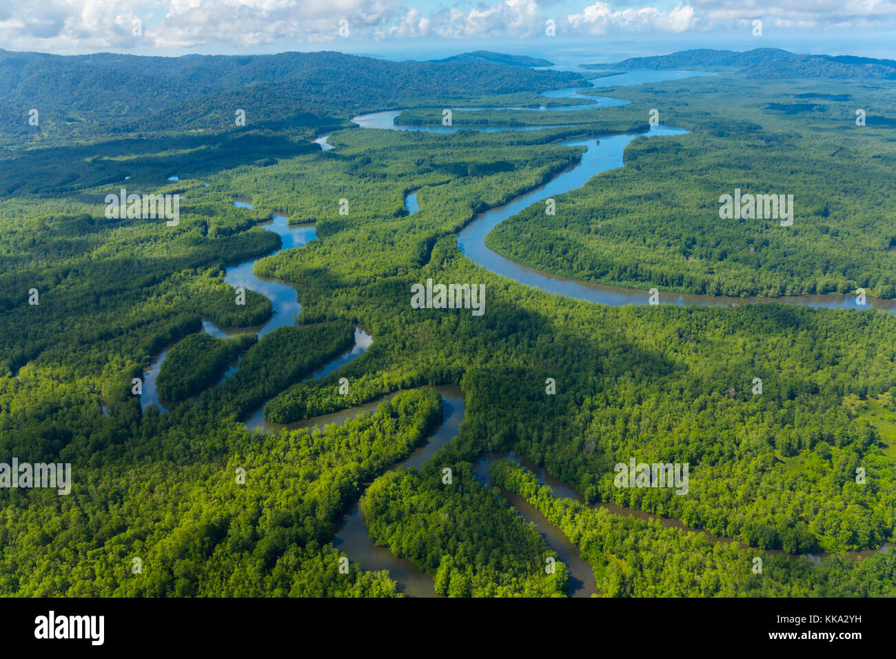 Aerial view of Delta Sierpe River Terraba, Corcovado National Park, Osa ...