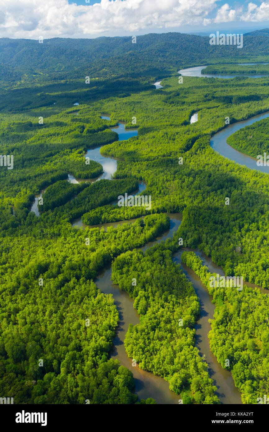 Aerial view of Delta Sierpe River Terraba, Corcovado National Park, Osa ...