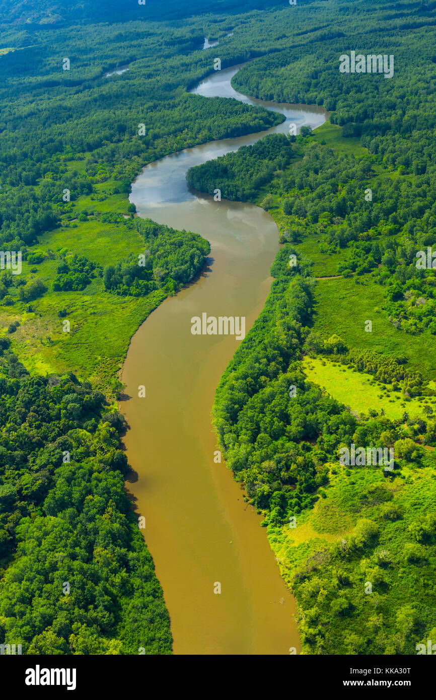 Aerial view of Delta Sierpe River Terraba, Corcovado National Park, Osa ...