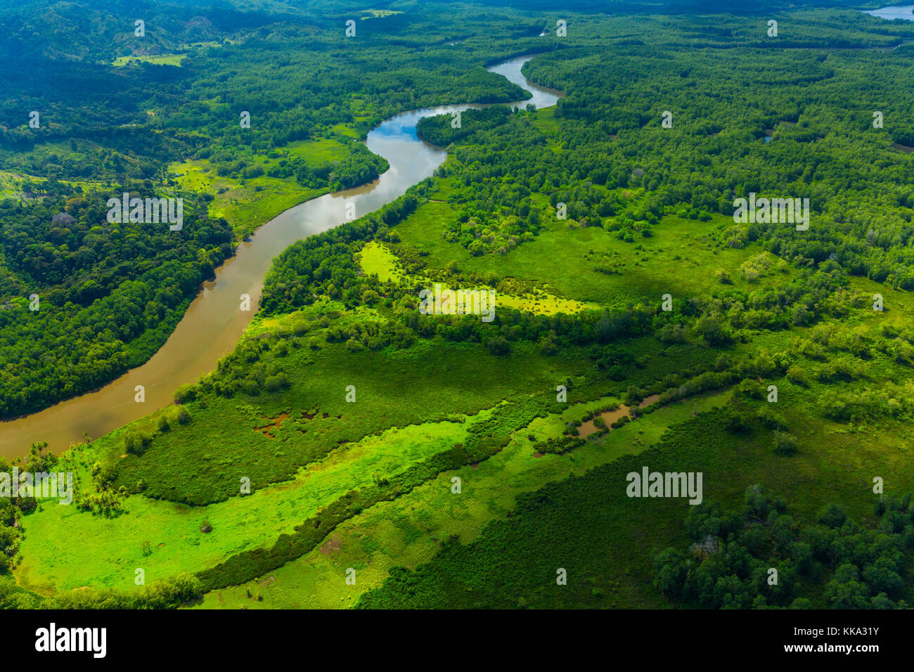 Aerial view of Delta Sierpe River Terraba, Corcovado National Park, Osa ...