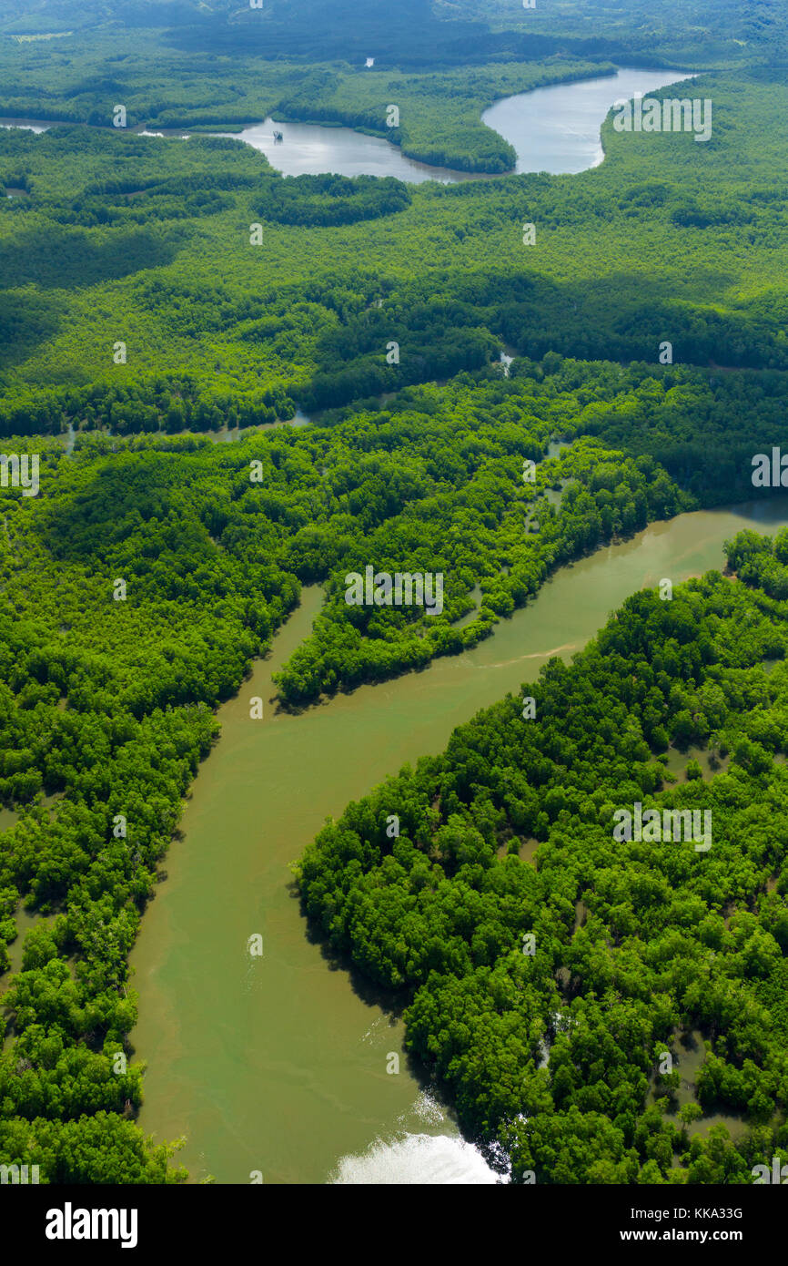 Aerial view of Delta Sierpe River Terraba, Corcovado National Park, Osa ...