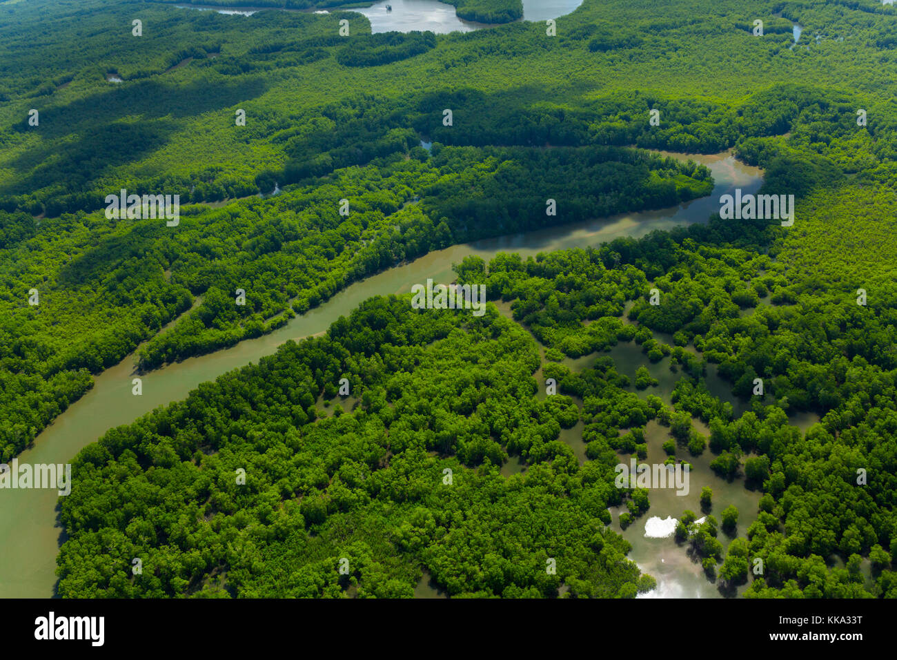 Aerial view of Delta Sierpe River Terraba, Corcovado National Park, Osa ...