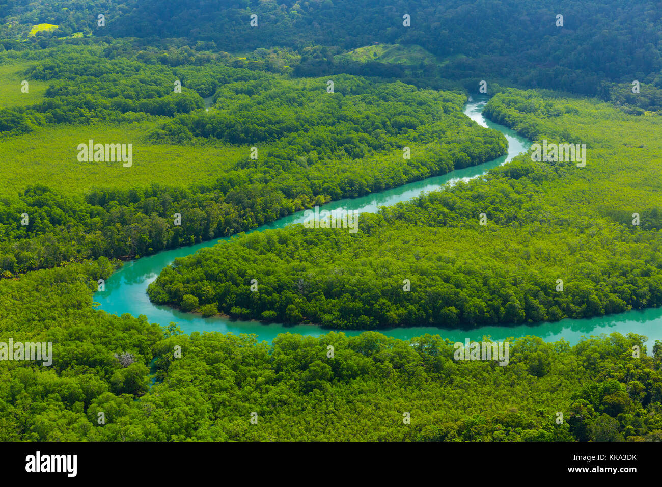 Aerial view of Delta Sierpe River Terraba, Corcovado National Park, Osa ...
