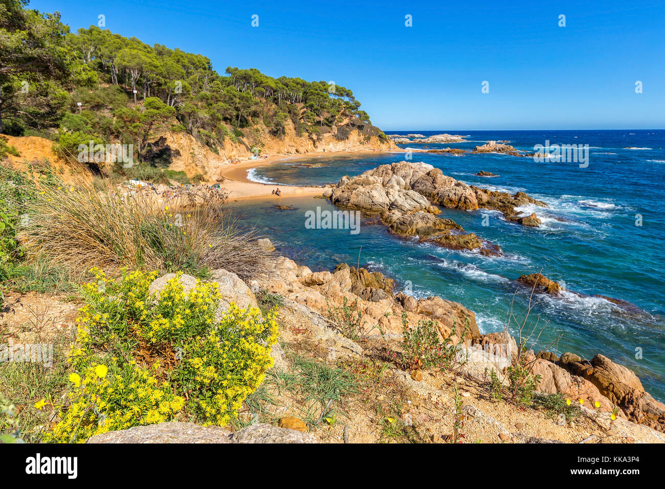 Nice detail from Costa Brava coastal in Spain, La Fosca Stock Photo - Alamy