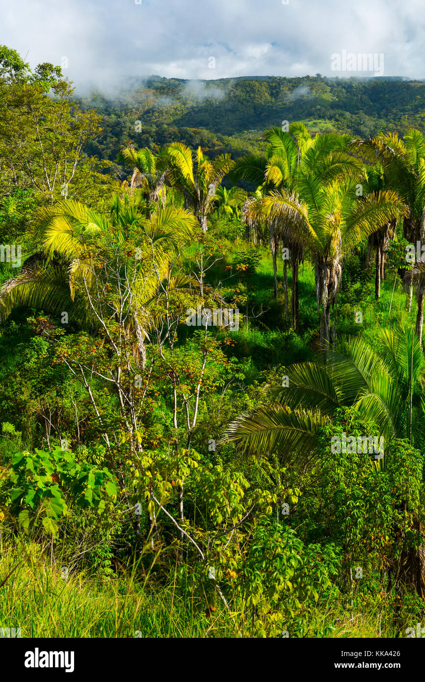 Boruca (also known as the Brunca or the Brunka) indigenous people ...