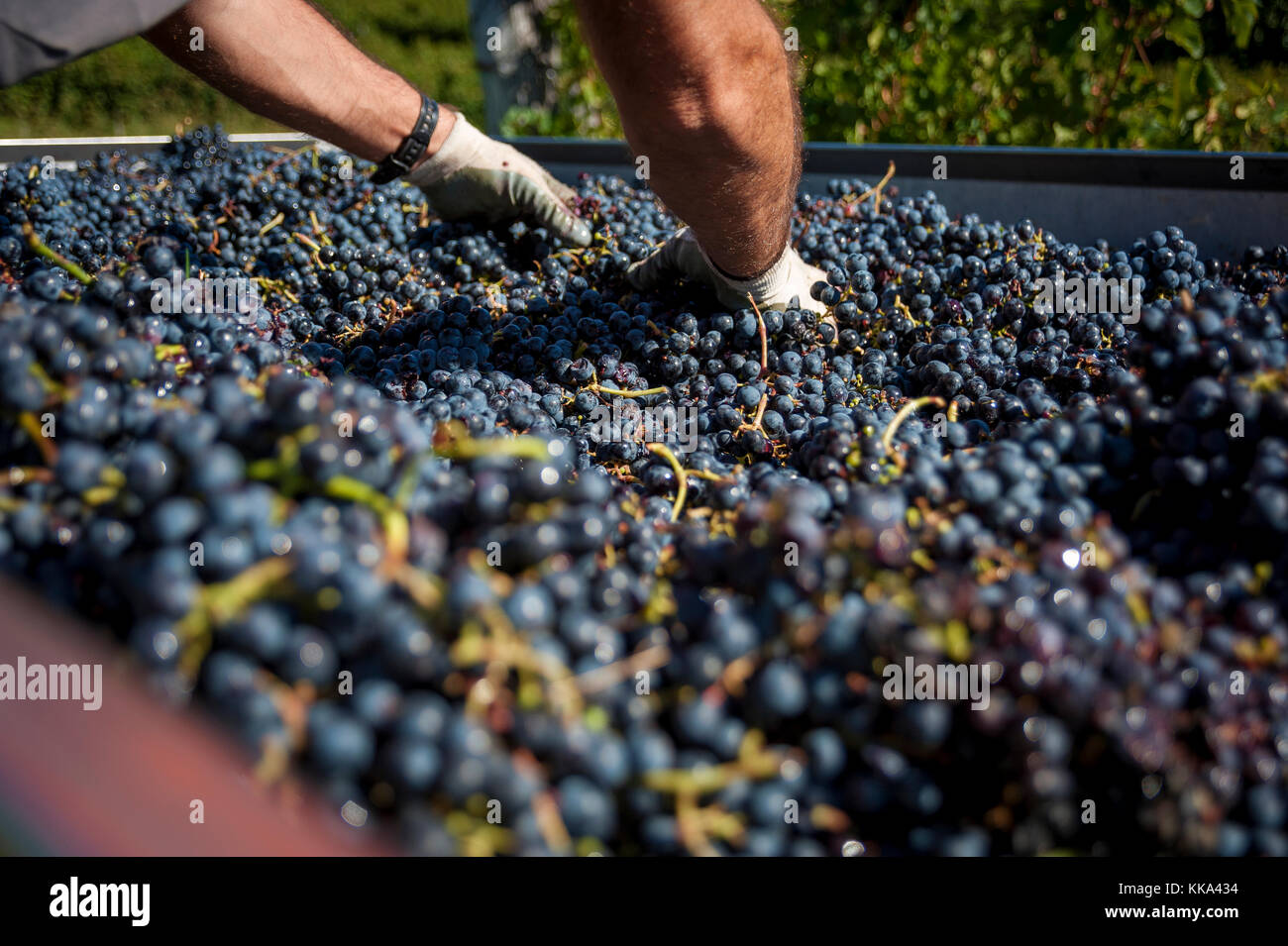 Red truck work hi-res stock photography and images - Alamy