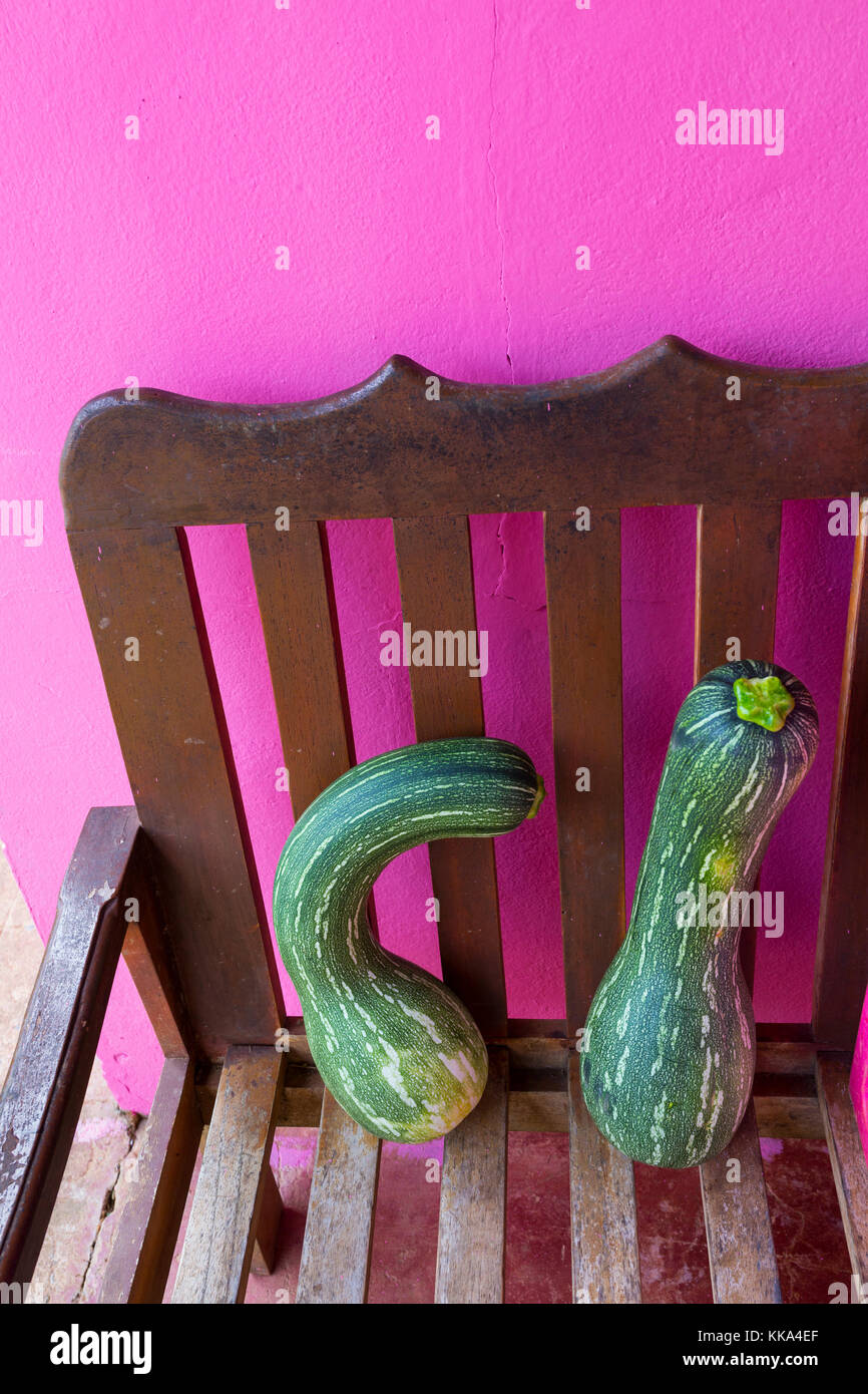 Boruca (also known as the Brunca or the Brunka) indigenous people ...