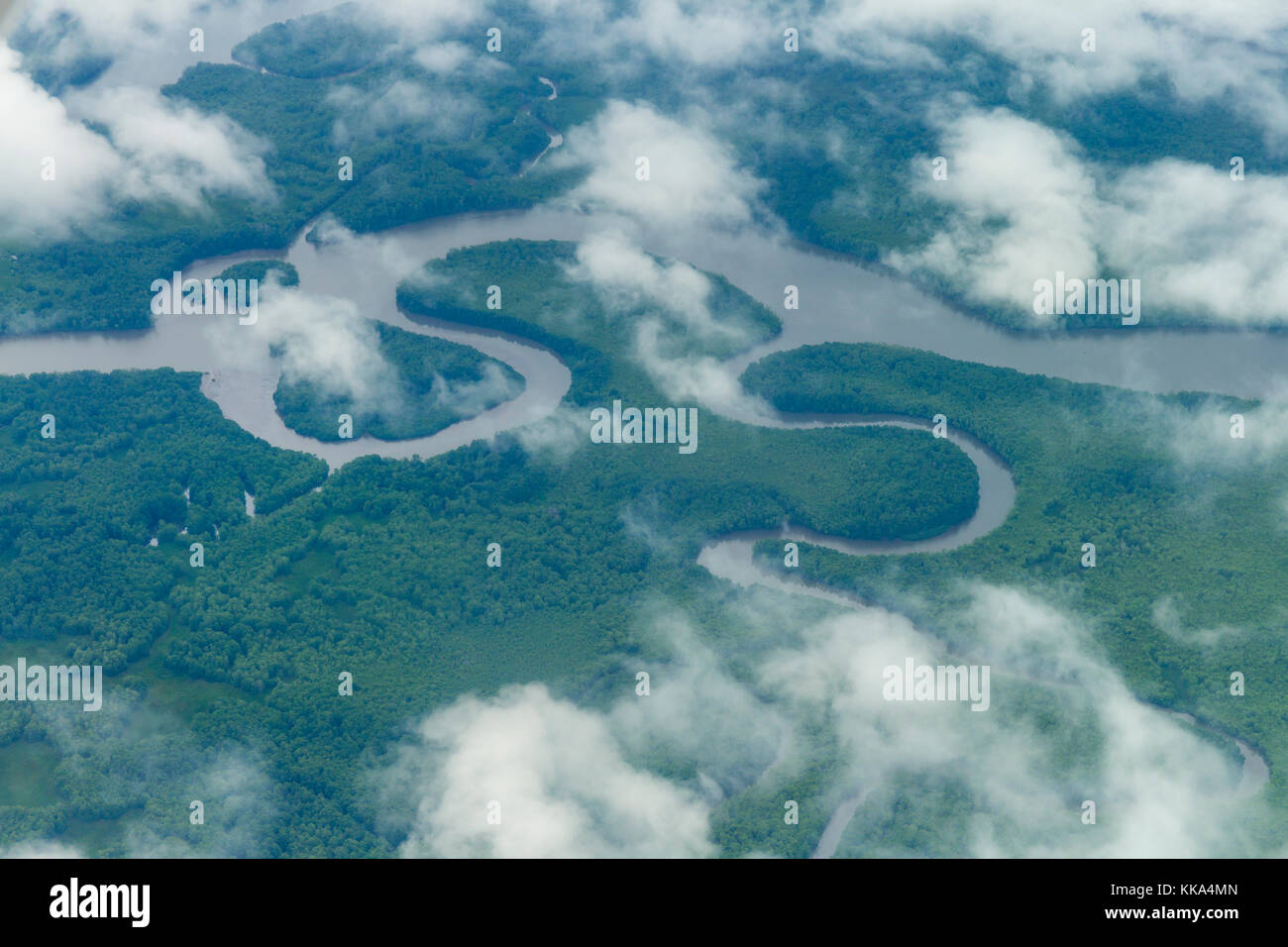 Delta Sierpe River - Térraba o Diquís, The Osa Peninsula, Puntarenas ...