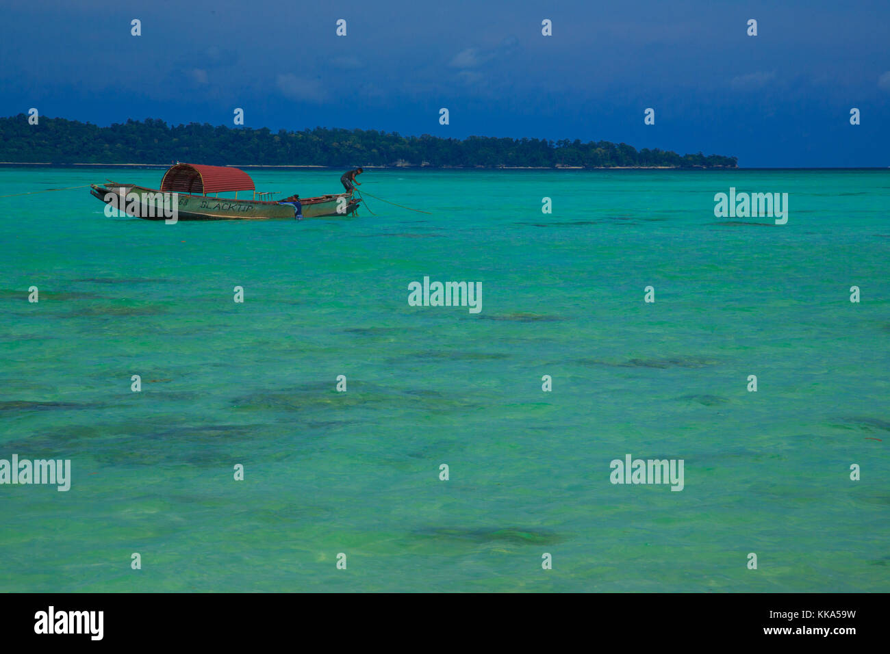 Havelock island andaman beach hi-res stock photography and images - Alamy