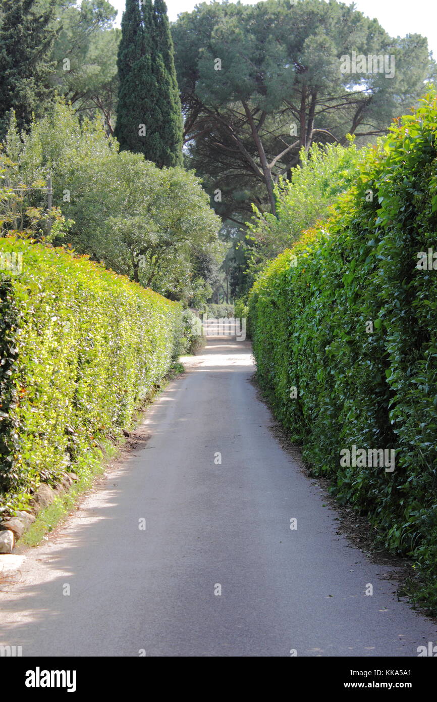 Parkland walk perspective hi-res stock photography and images - Alamy