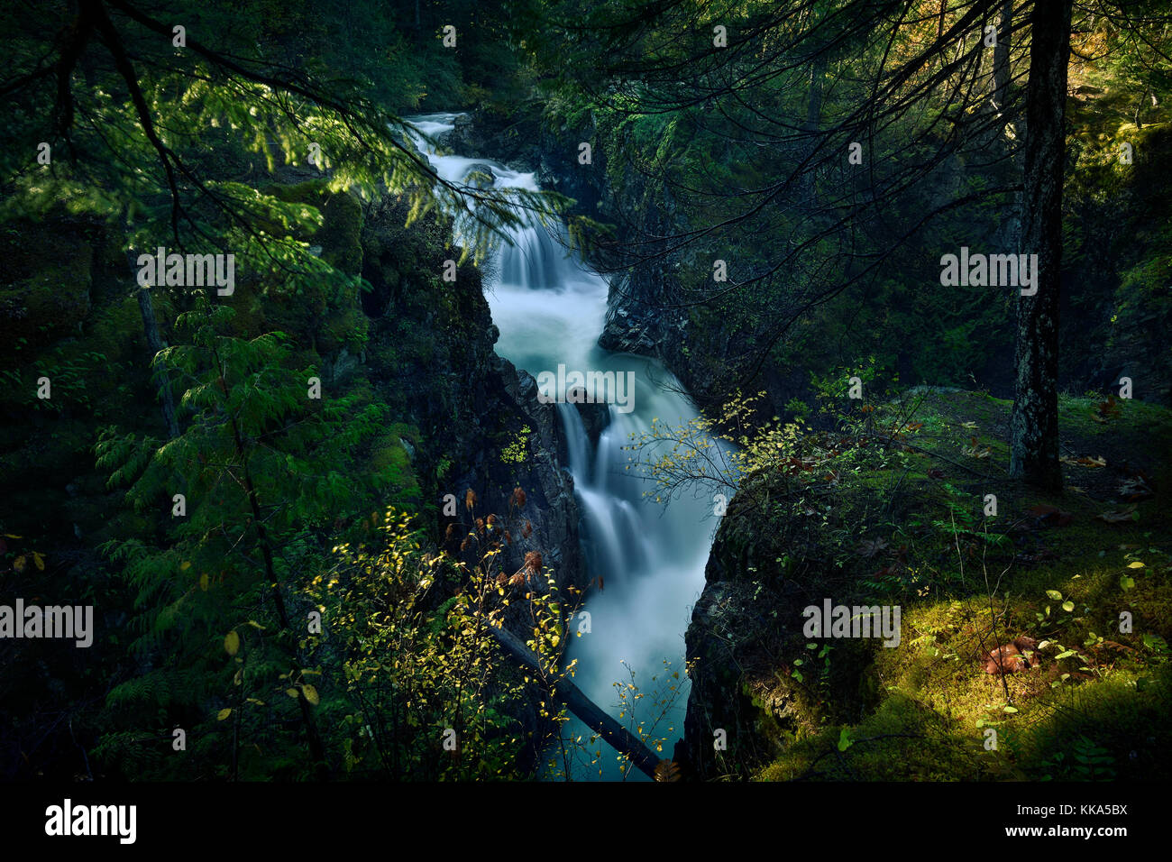 Little Qualicum Falls Provincial Park beautiful cascade waterfall ...
