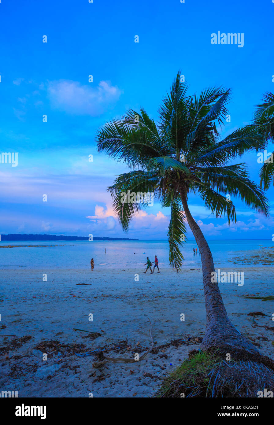 Havelock island andaman beach hi-res stock photography and images - Alamy
