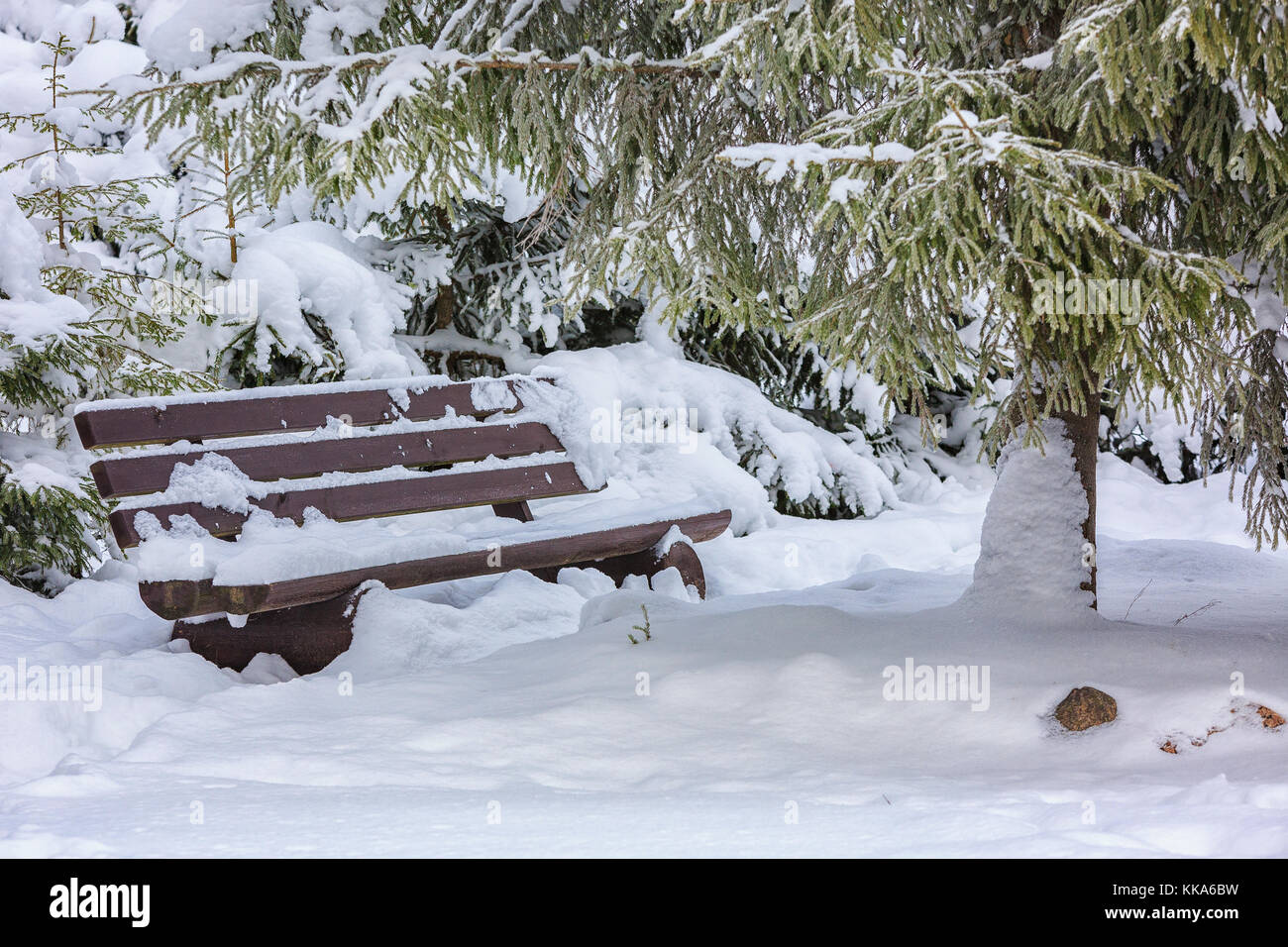 Bench under the tree, in the winter snow-covered forest Stock Photo - Alamy