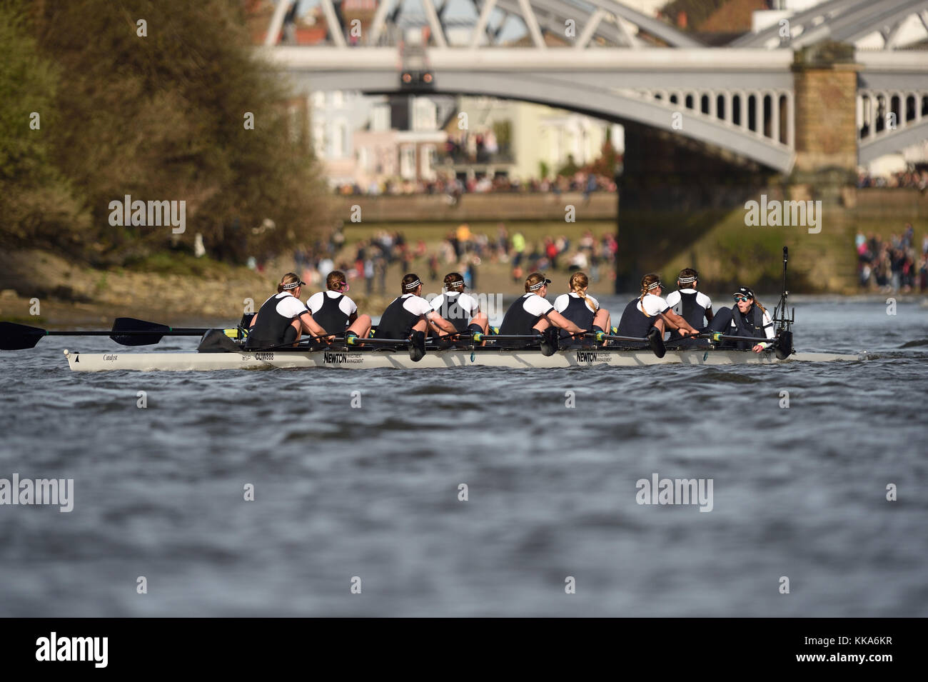 Cambridge oxford mens boat hi-res stock photography and images - Alamy