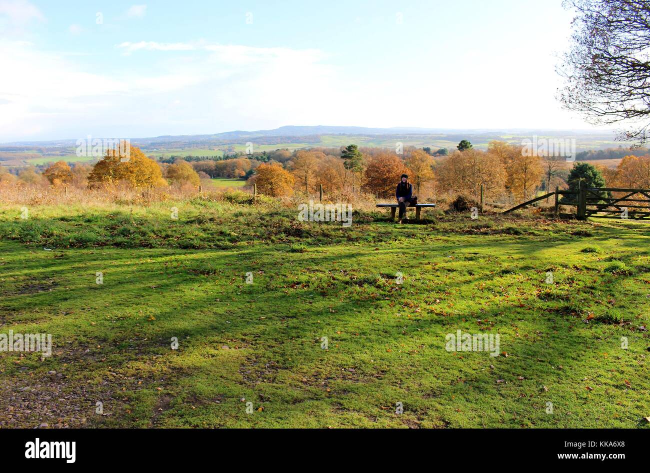 Kinver edge hillfort hi-res stock photography and images - Alamy