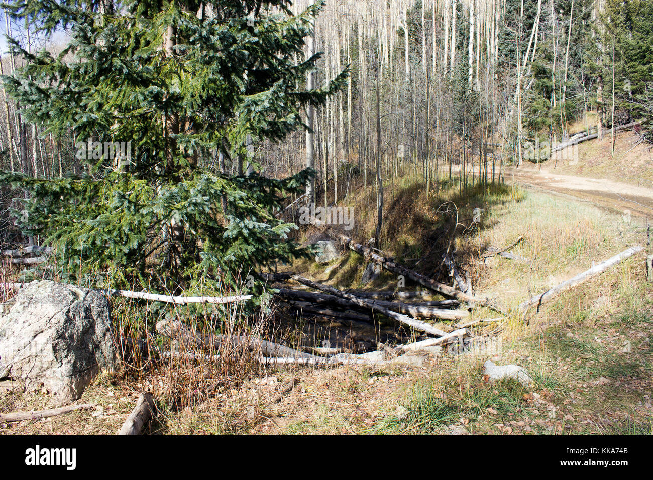 Logjam hi-res stock photography and images - Alamy