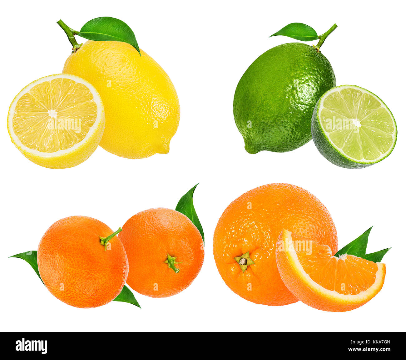 Citrus Fruit Set (tangerine, orange, lime, lemon) isolated on white ...